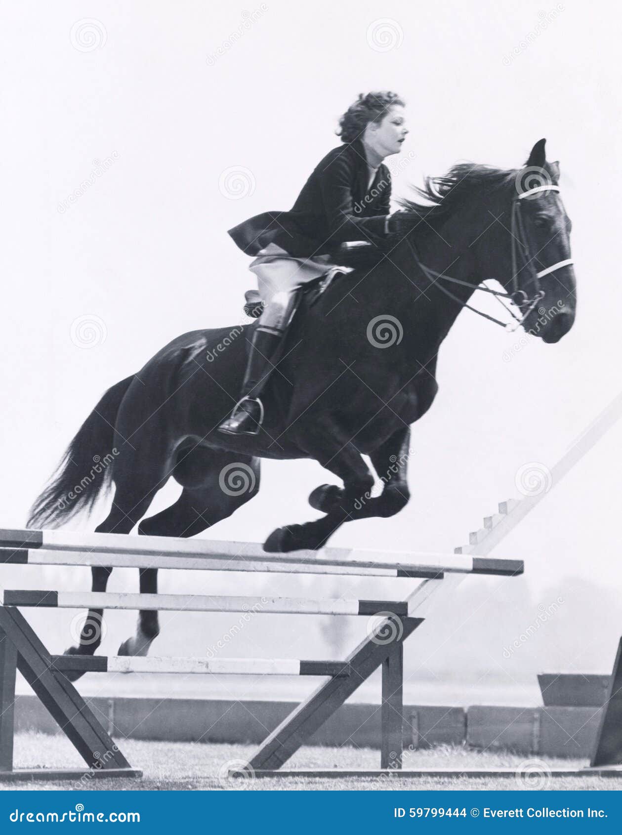 Show jumping stock photo. Image of horsewoman, animals - 59799444