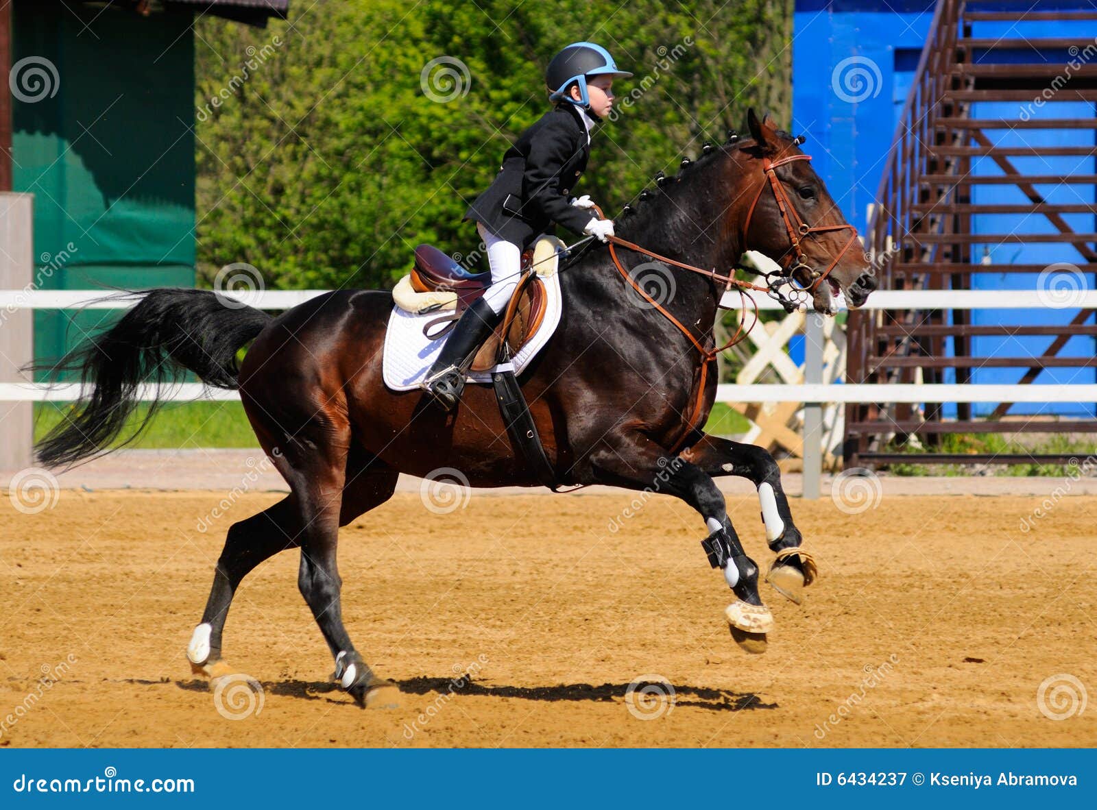 Show Jumping editorial photography. Image of competition - 6434237