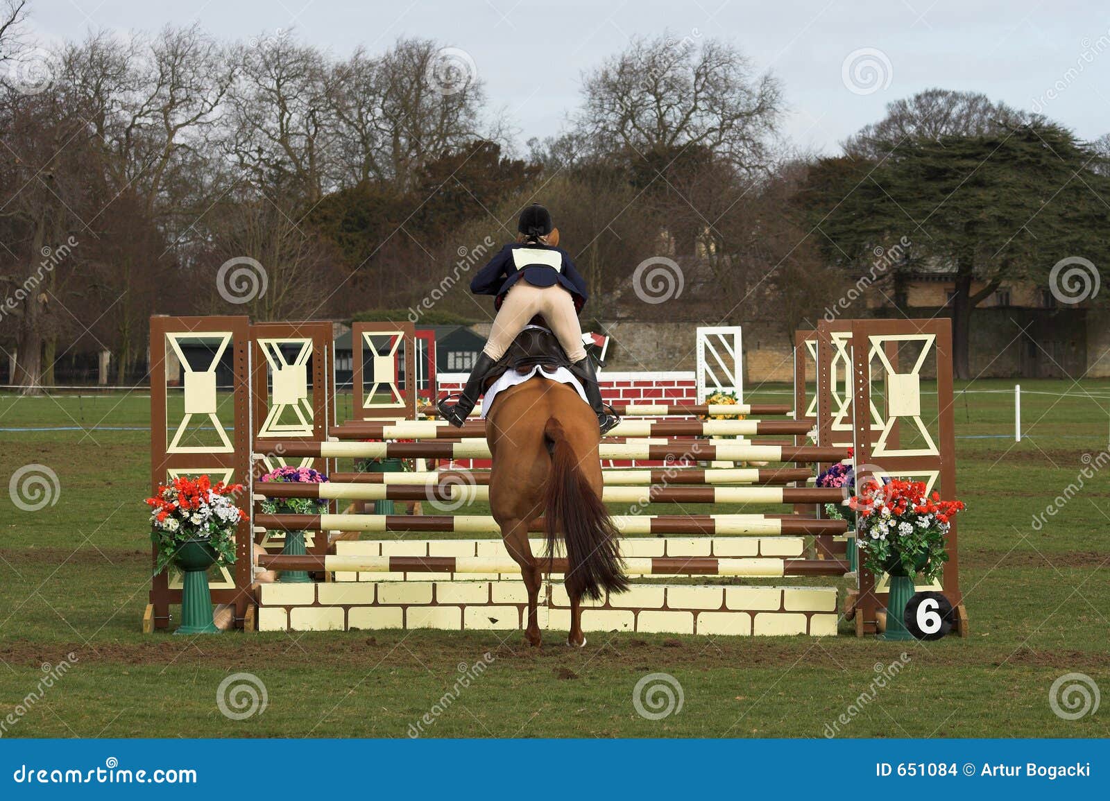 Show Jumping stock photo. Image of fence, outdoor, sport - 651084