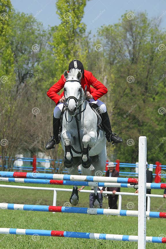 Show jumping stock photo. Image of obstacle, leap, barrier - 804512