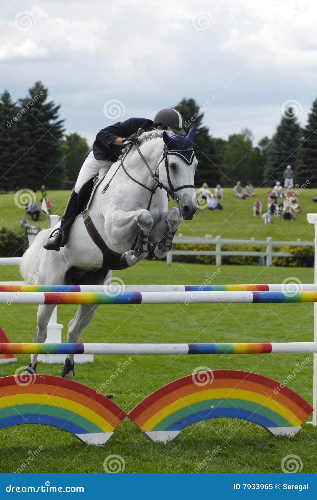 Show jumping competition stock image. Image of sport, midair - 7933965