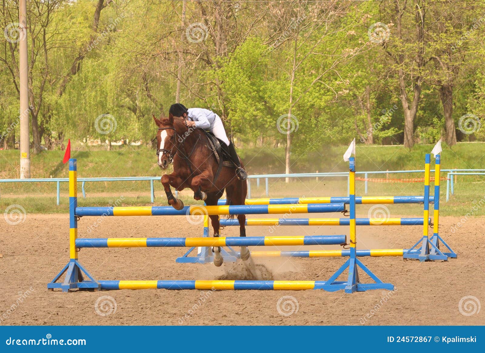 Show Jumping Open Championship in Chisinau 2012 Editorial Photography ...