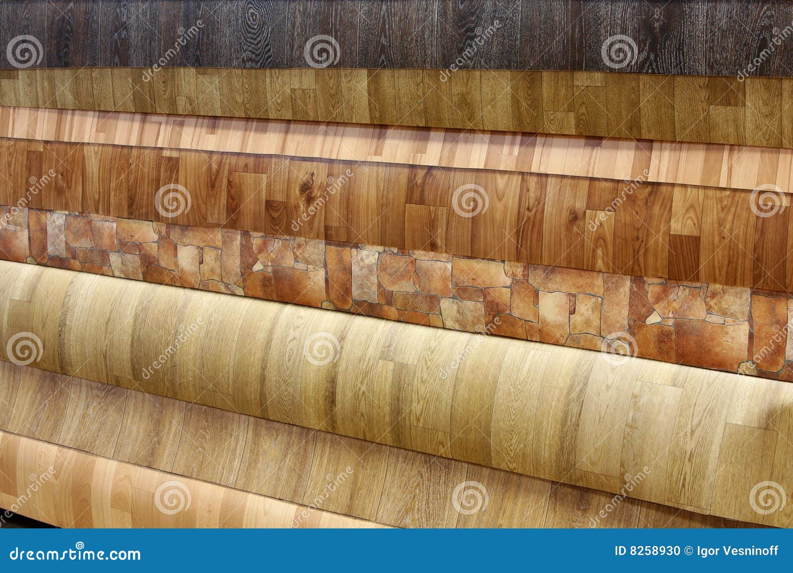 Show-window Linoleum stock photo. Image of hang, floor - 8258930