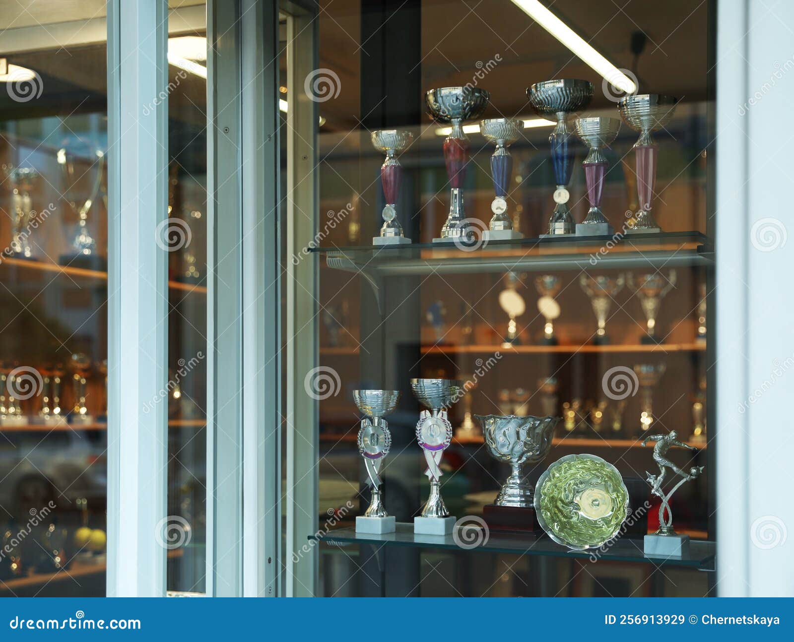 Showcase with Different Trophy Cups in Shop, View from Outside Stock ...