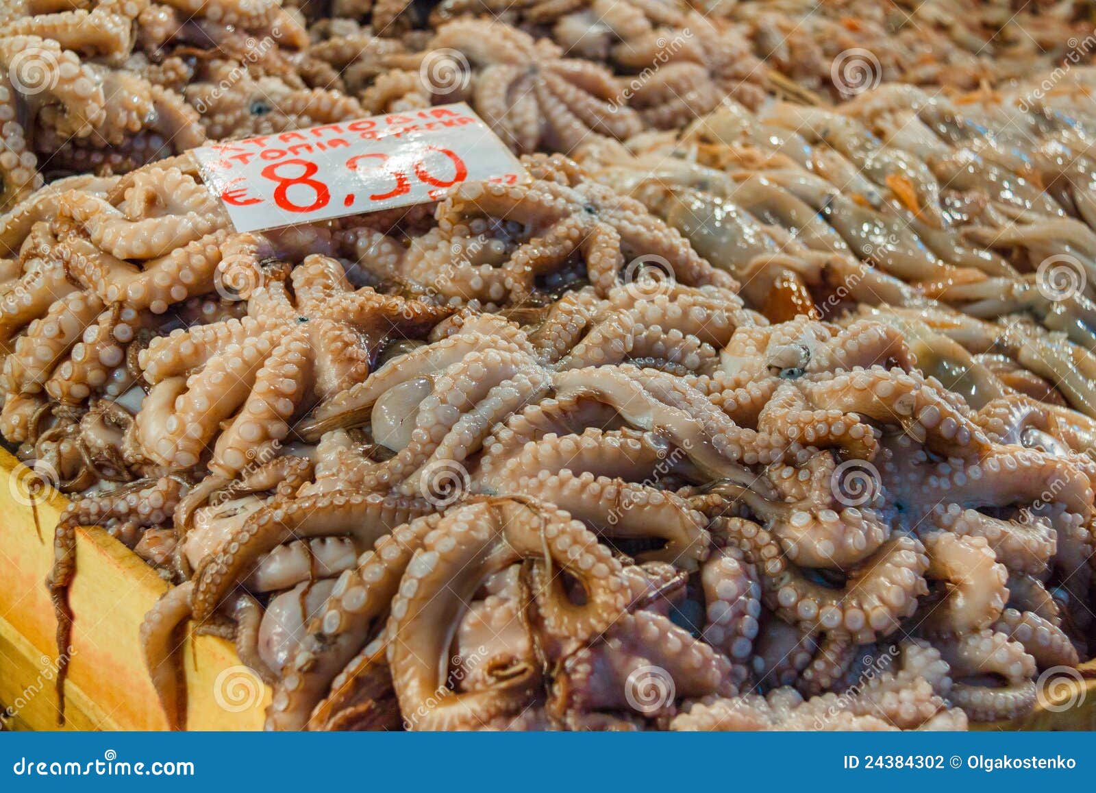 Showcase of fresh octopus stock photo. Image of traditional - 24384302