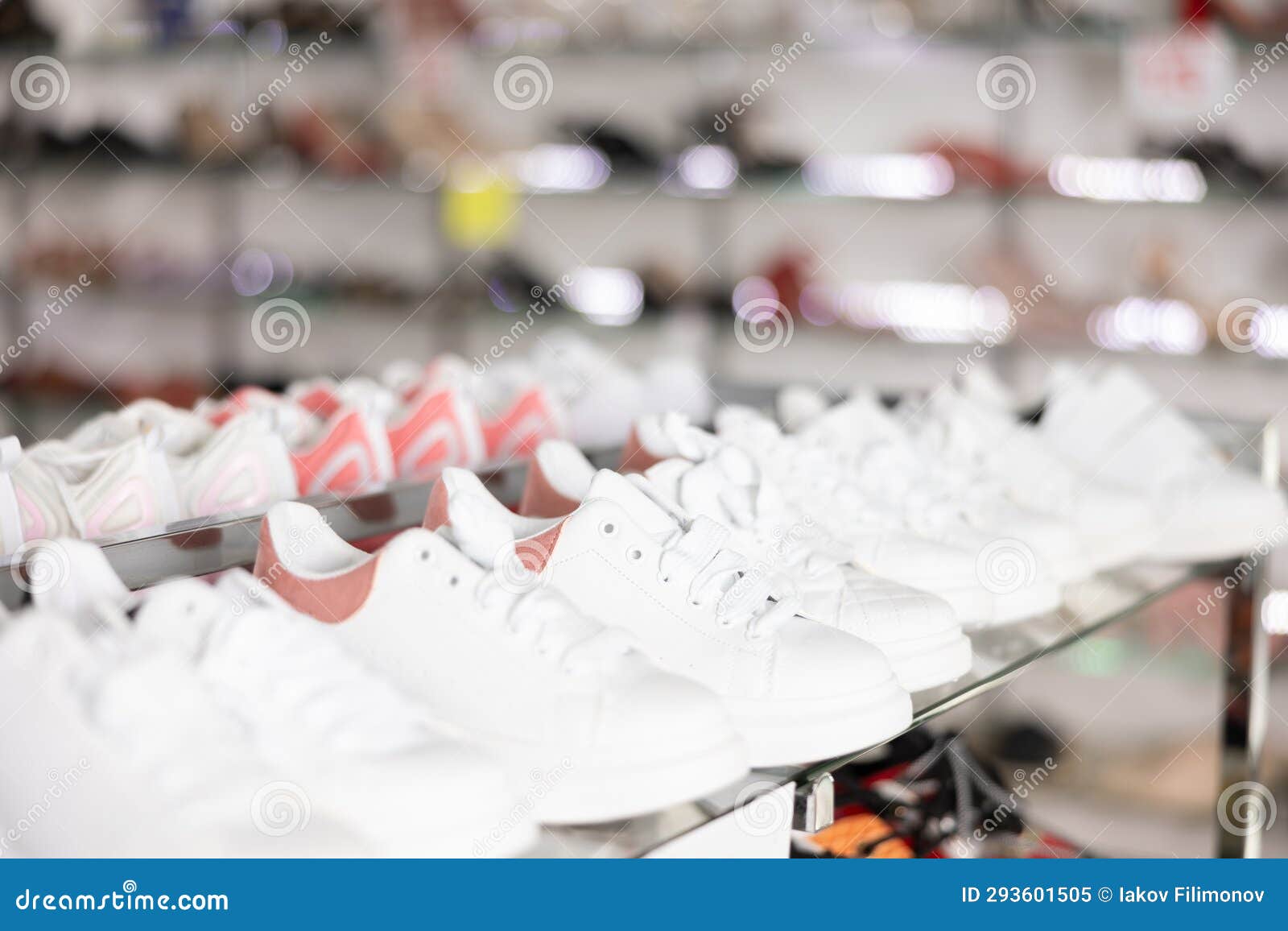 Showcase with Models of Sneakers in Shoe Store Stock Image - Image of ...