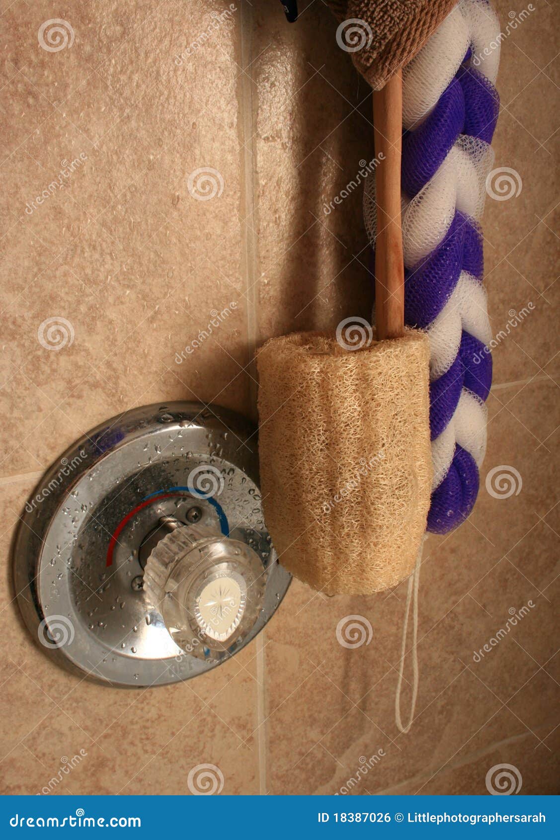 Shower Loofa stock photo. Image of health, scrub, white - 18387026