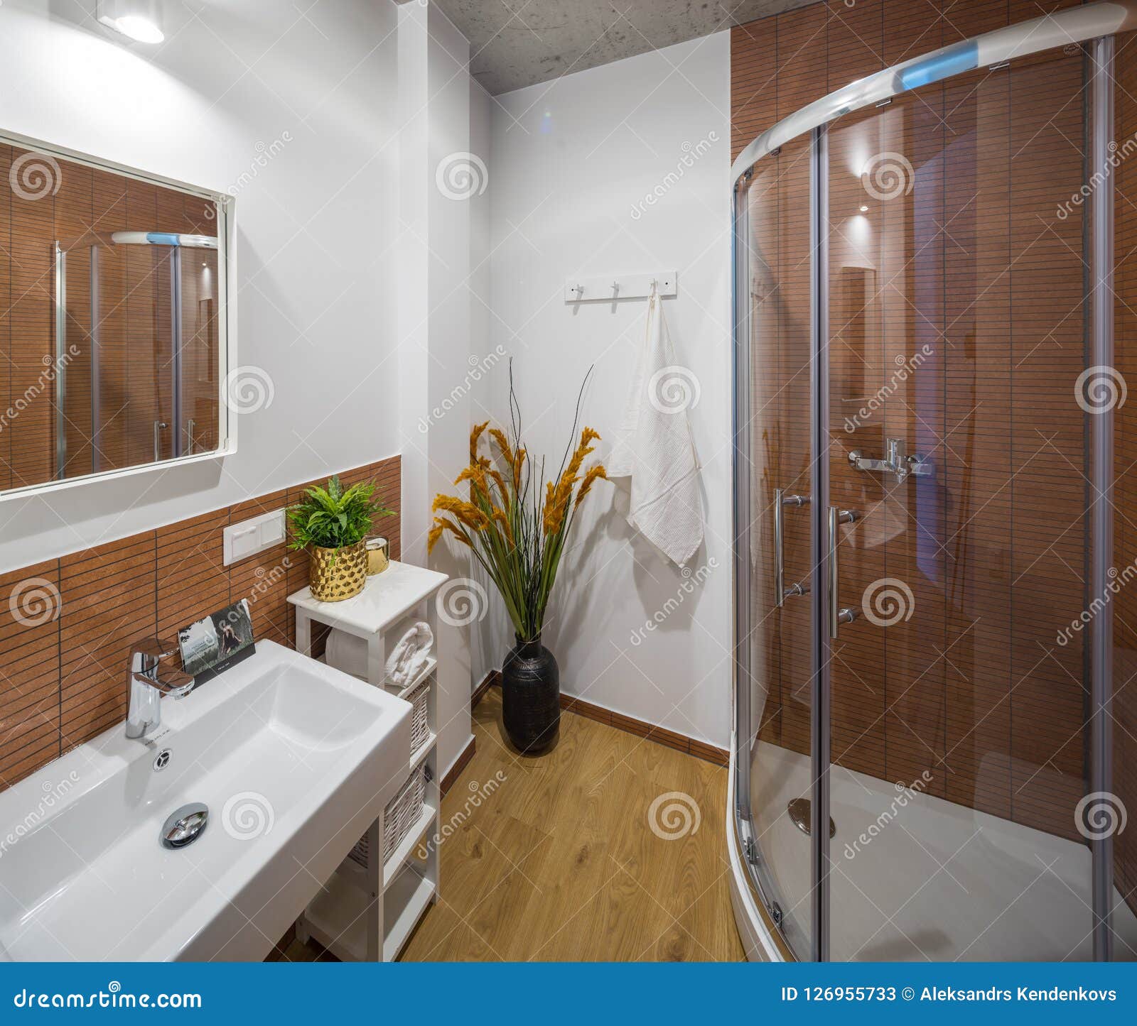 Shower Room and Bathroom in a Modern Apartment. Shower Room in the ...