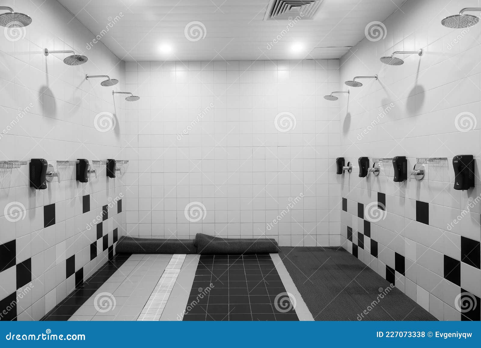 Shower Room in the Gym. Stylish Shower Room Stock Photo - Image of ...