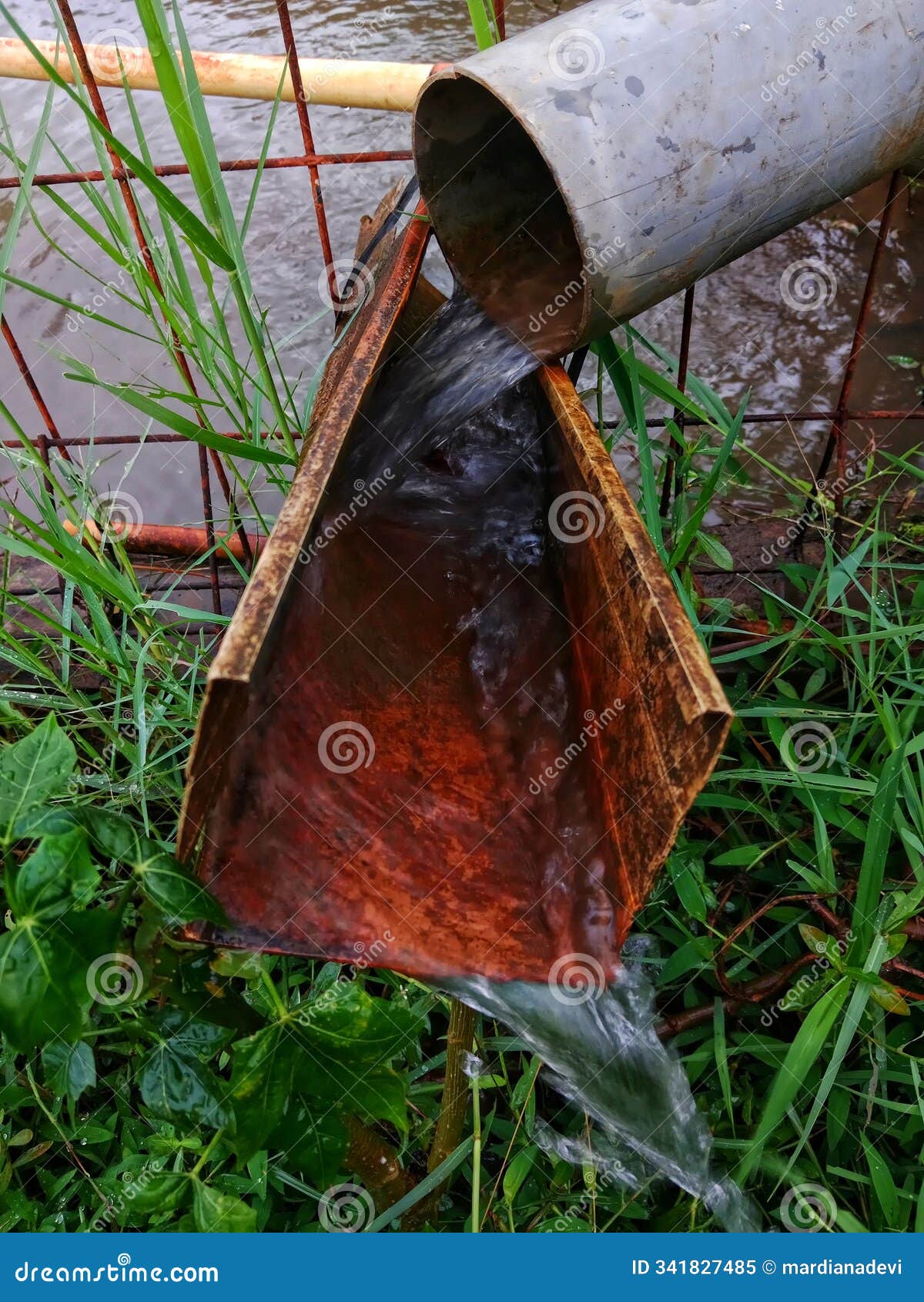 Shower Water Used for Rice Irrigation Stock Image - Image of shower ...