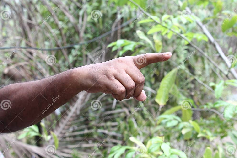 Showing Direction Hand Gesture Image Stock Photo - Image of direction ...