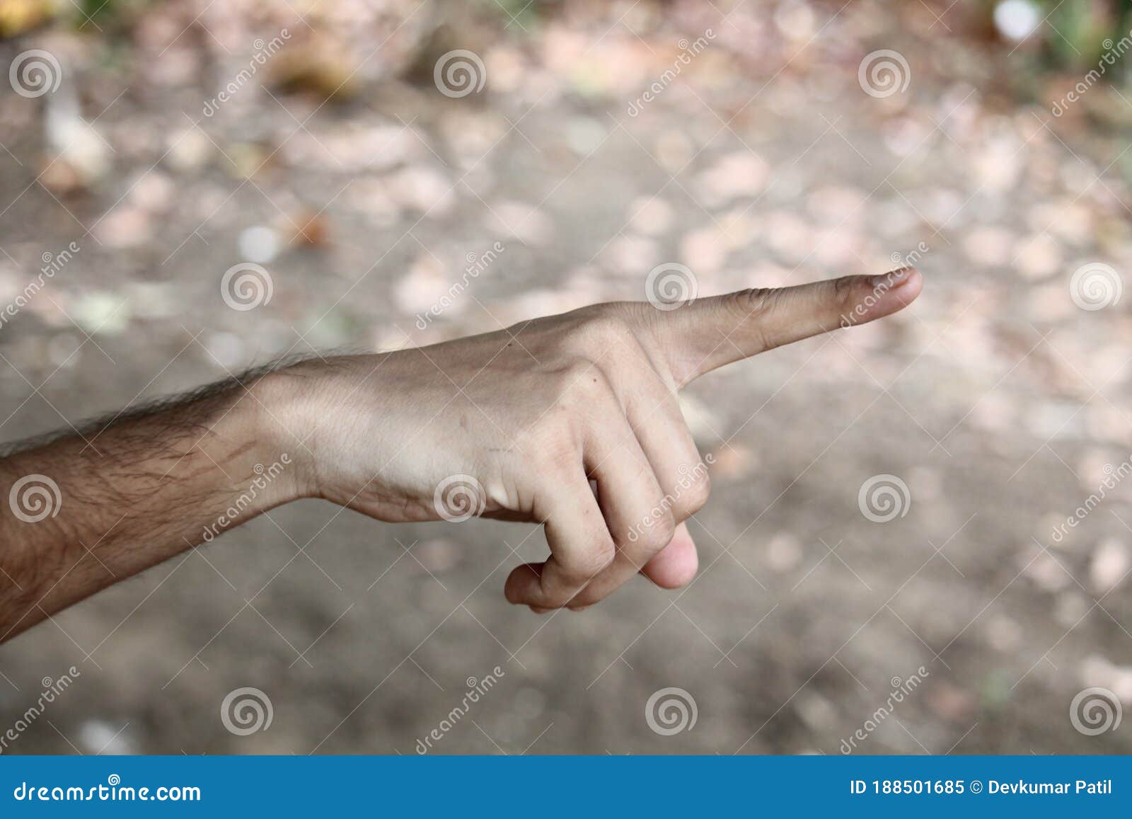 Showing Direction or Mark Something Hand Gesture Stock Image - Image of ...