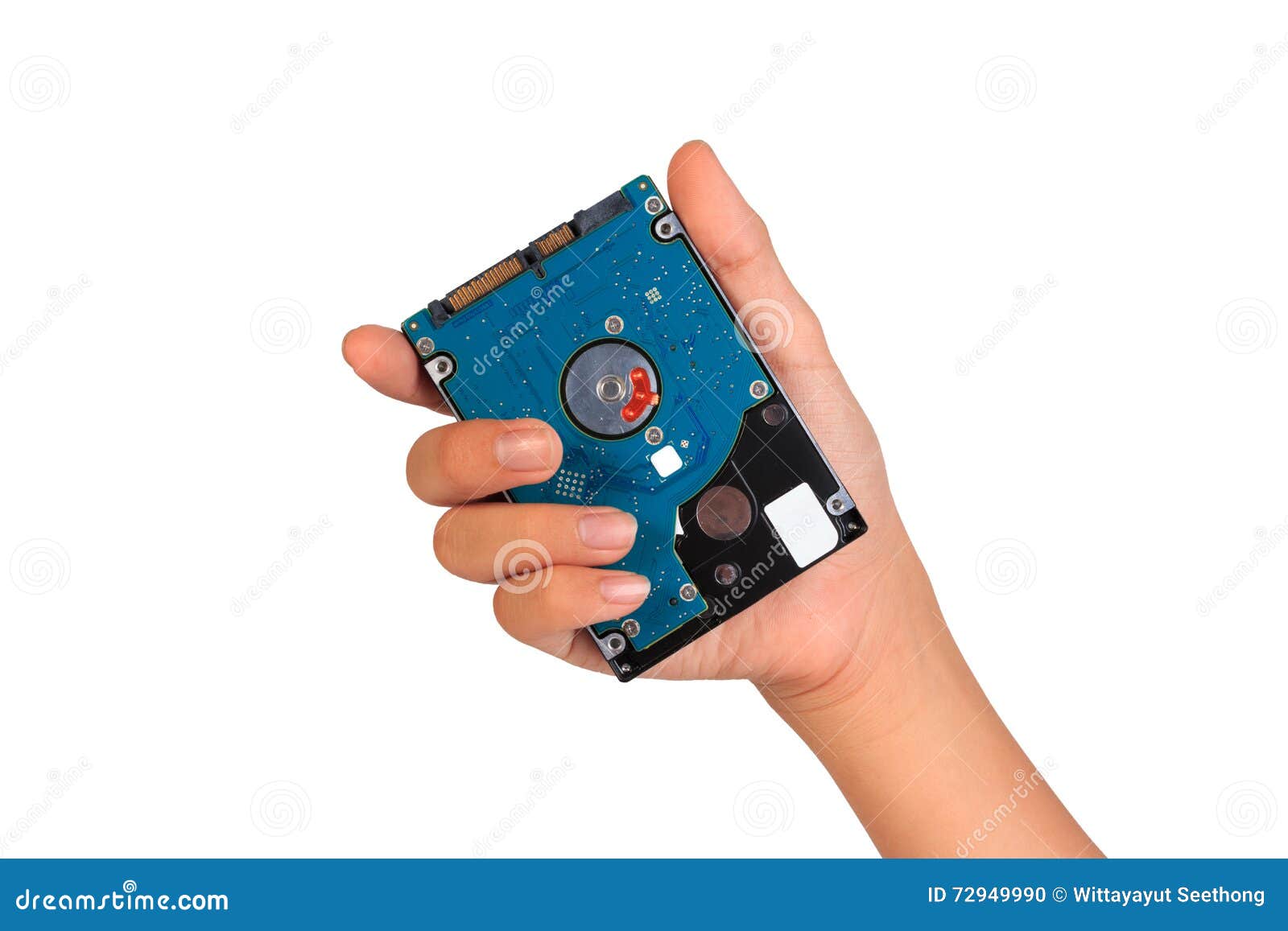 Showing Hard Disk, Hand Holding Hard Drive. Stock Photo - Image of ...