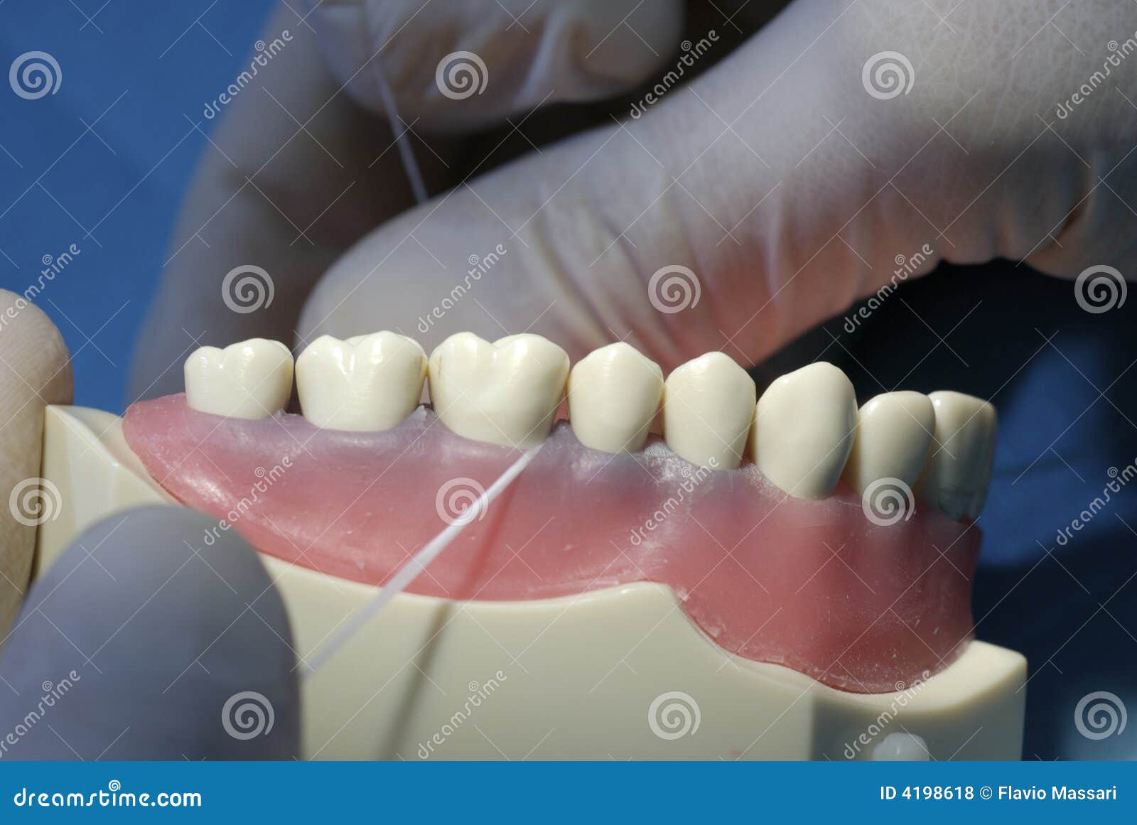 Showing how to use floss stock photo. Image of clinic - 4198618