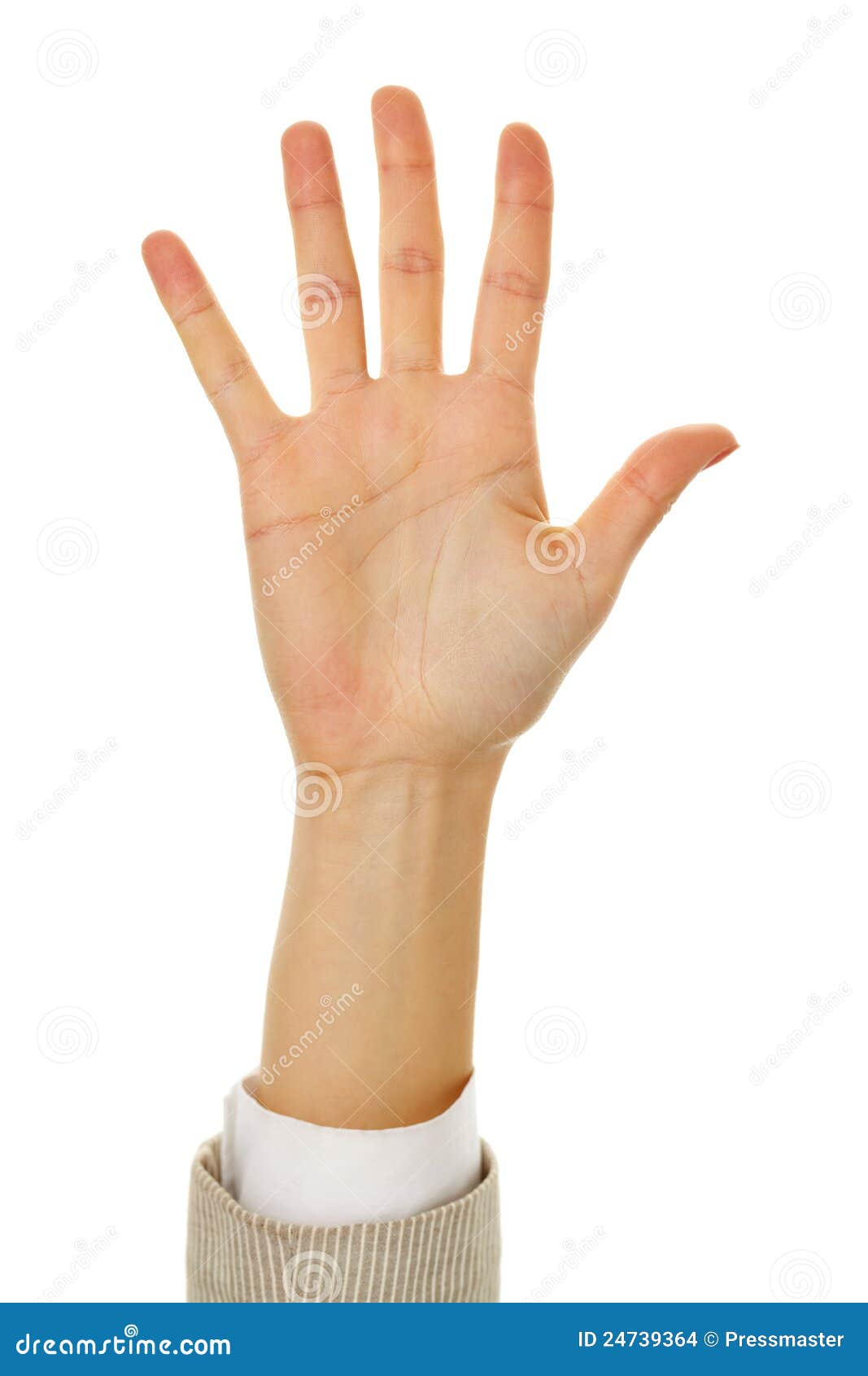 Showing palm stock photo. Image of signal, copyspace - 24739364