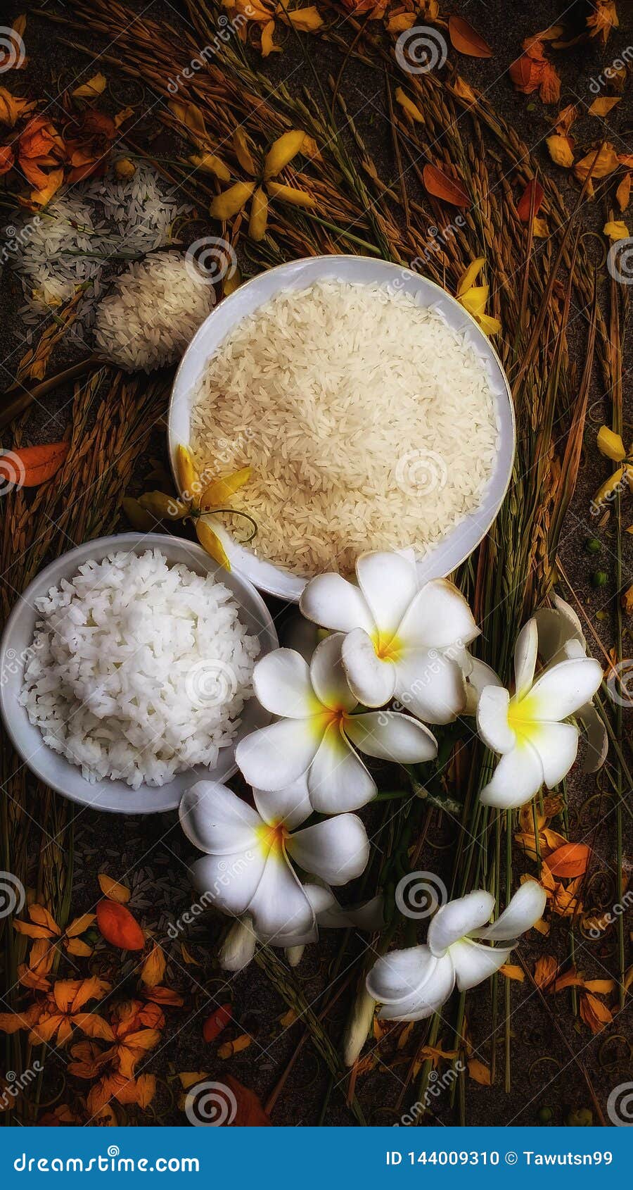 Thai rice varieties stock photo. Image of cuisine, healthy - 144009310