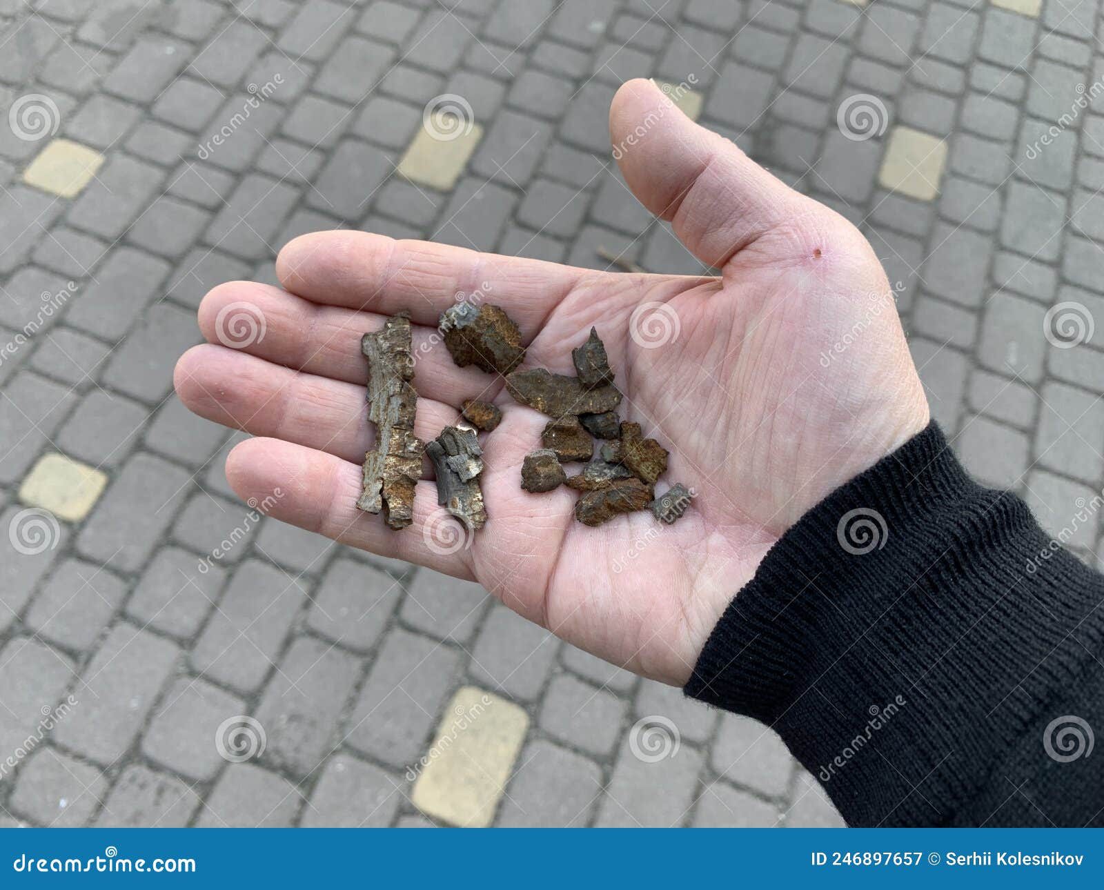 Shrapnel from a Mine in Hand. Parts of a High-explosive Artillery ...