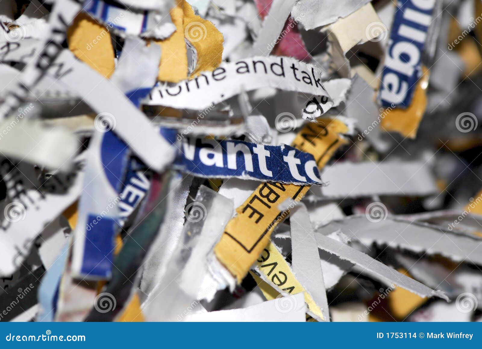 Shredded stock photo. Image of business, safety, secure - 1753114