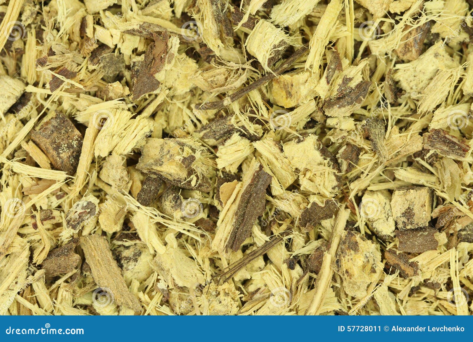 Shredded Bark Roots Oak Stock Photos - Free & Royalty-Free Stock Photos ...