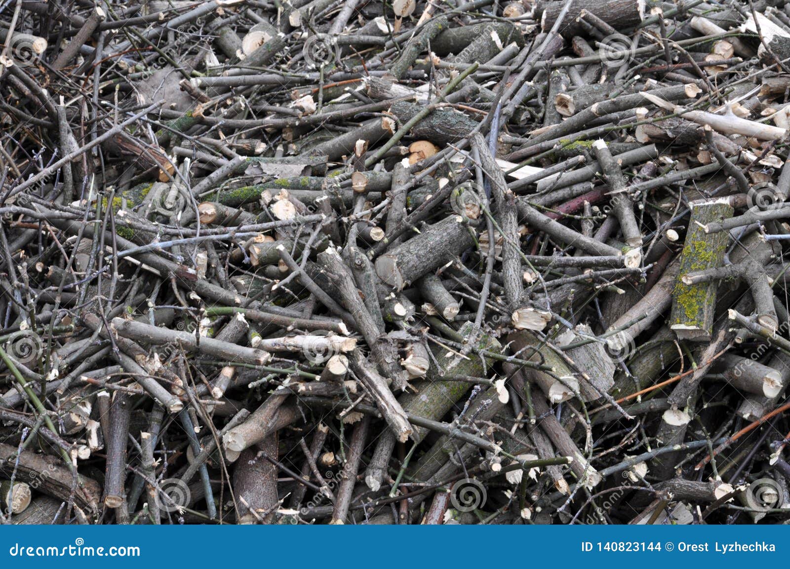 Shredded Branches Of Trees And Shrubs Stock Photo - Image of background ...