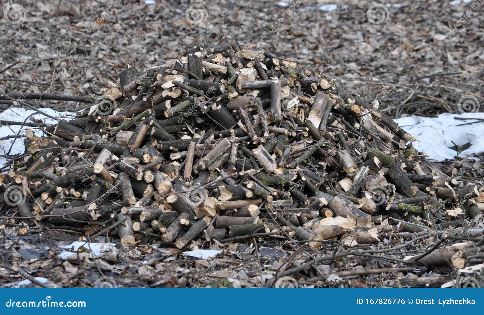 Shredded Branches of Trees and Shrubs Stock Photo - Image of ...