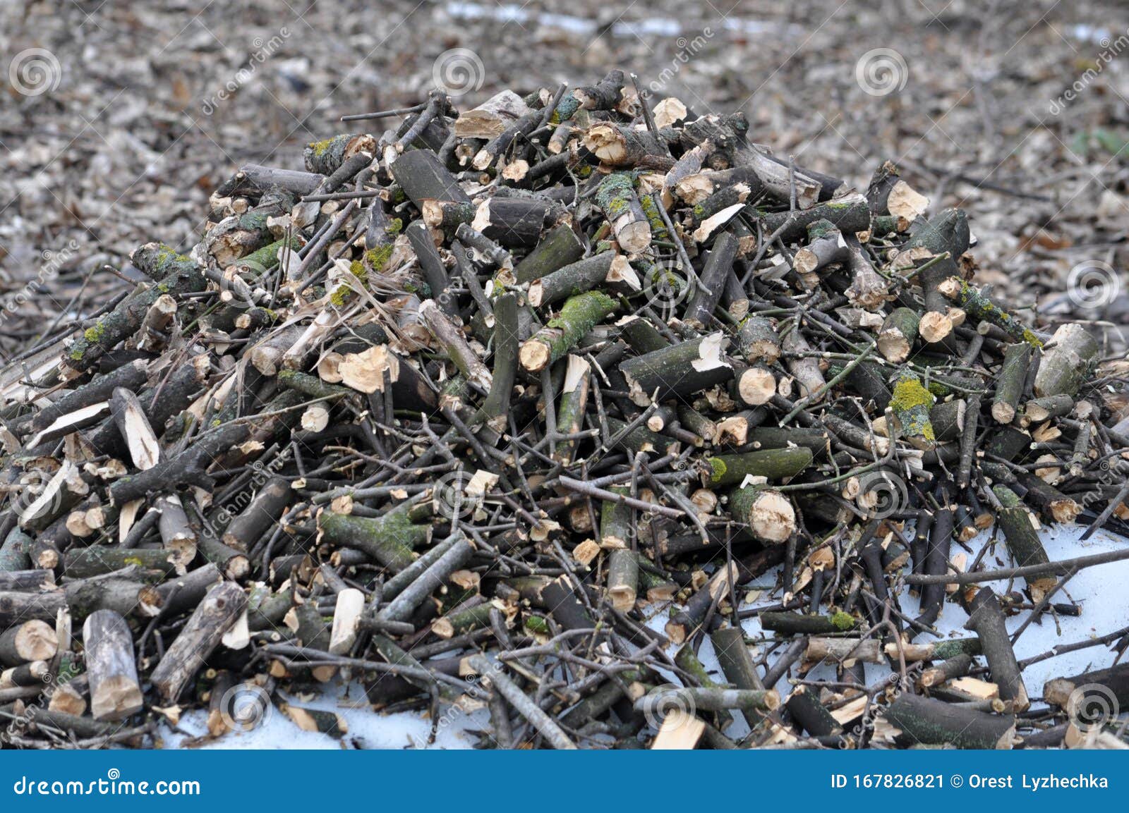 Shredded Branches of Trees and Shrubs Stock Image - Image of organic ...