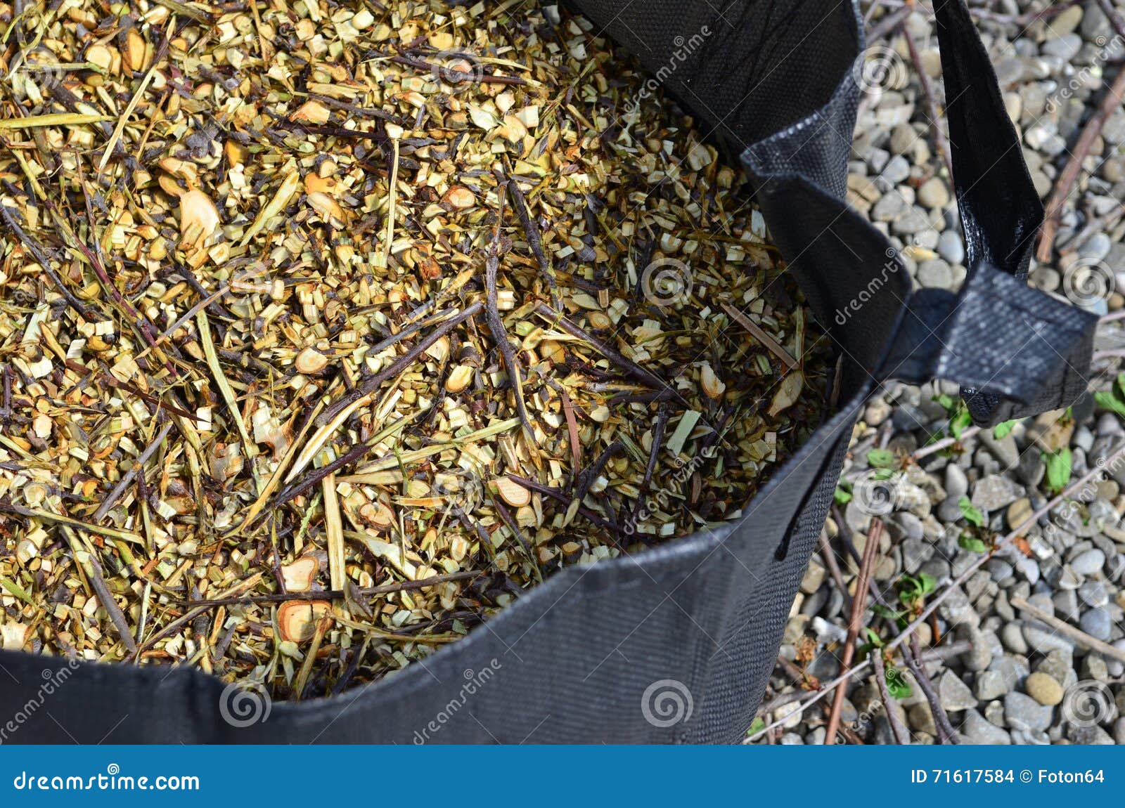 Shredded Branches Used for Compost or Mulching Stock Photo - Image of ...