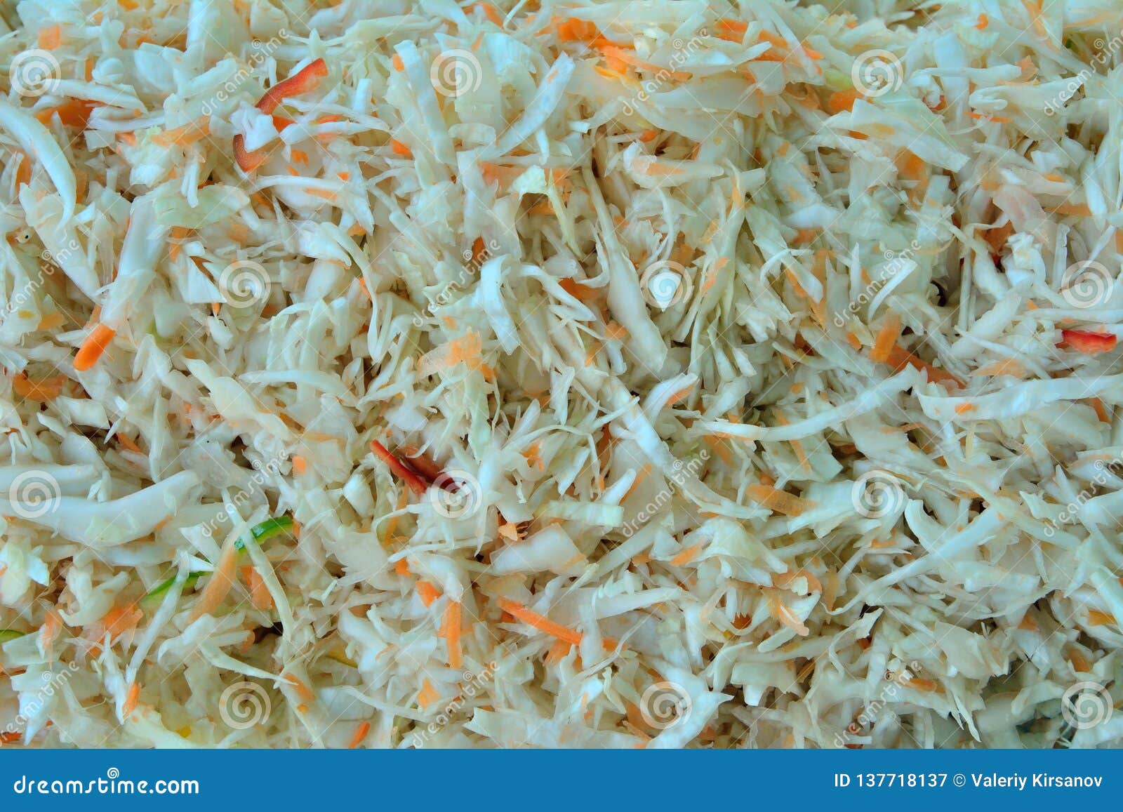 Shredded cabbage 2 stock image. Image of shred, shredded - 137718137