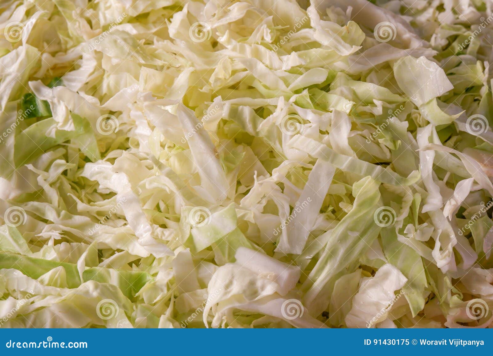 Shredded cabbage stock image. Image of bowl, dinner, freshness - 91430175