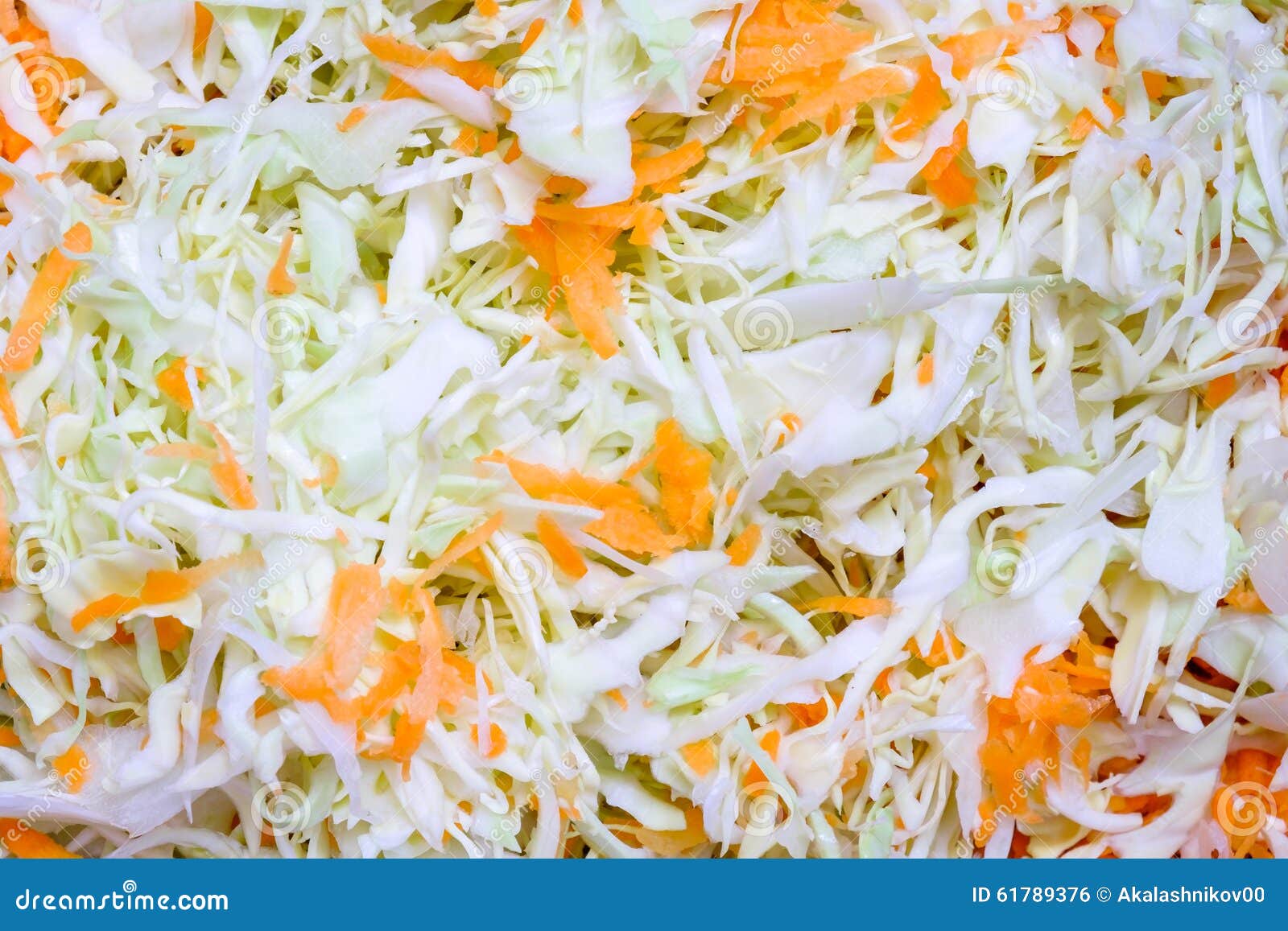 Shredded cabbage stock photo. Image of chopped, white - 61789376