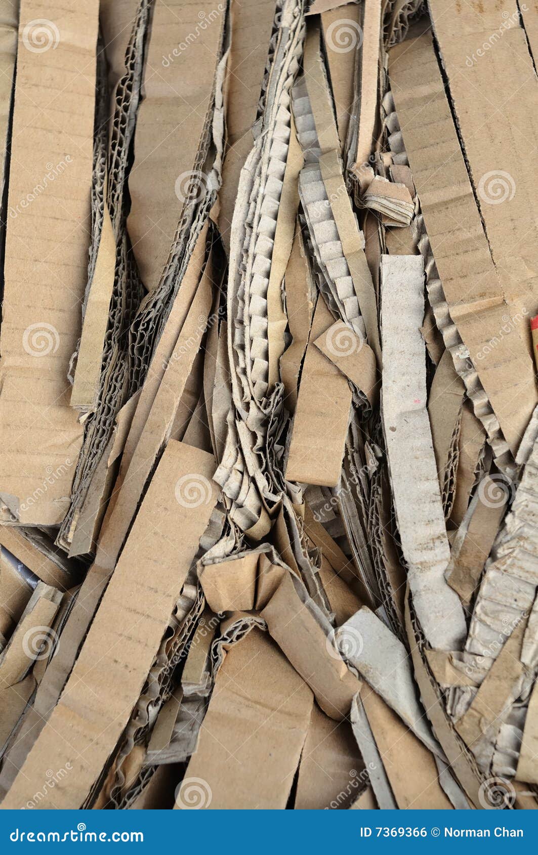 Shredded cardboard stock photo. Image of cardboard, recycle - 7369366