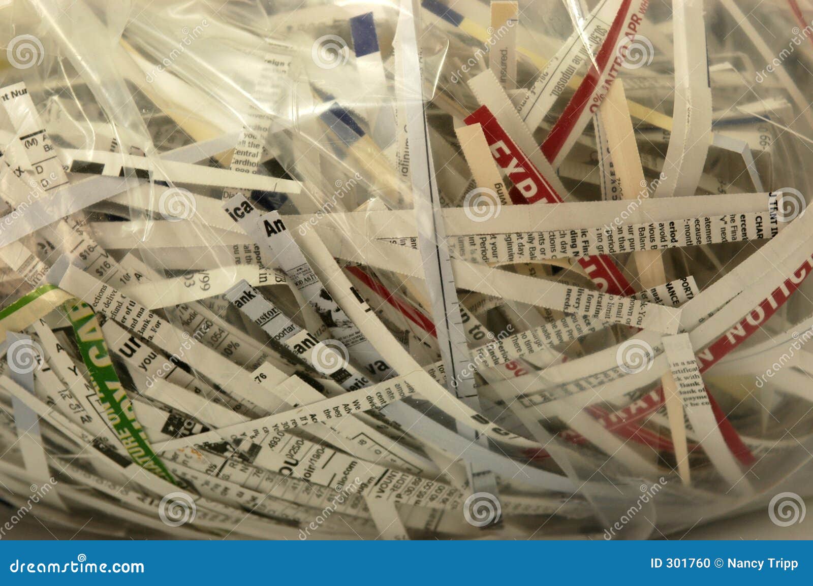 Shredded documents stock photo. Image of shredded, protection - 301760