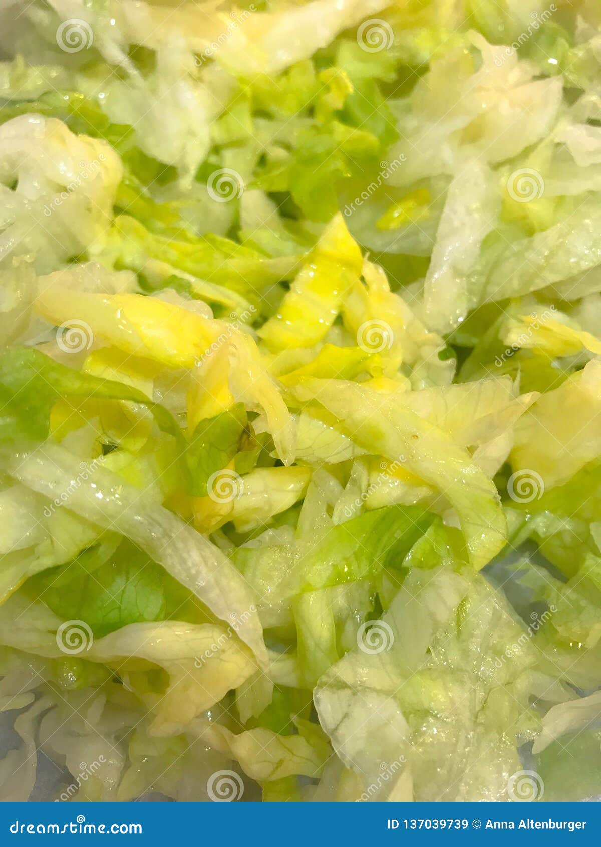 Shredded Iceberg Lettuce
