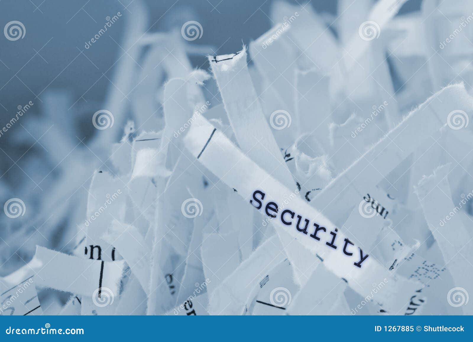 Shredded Paper stock image. Image of fiber, blank, business - 1267885