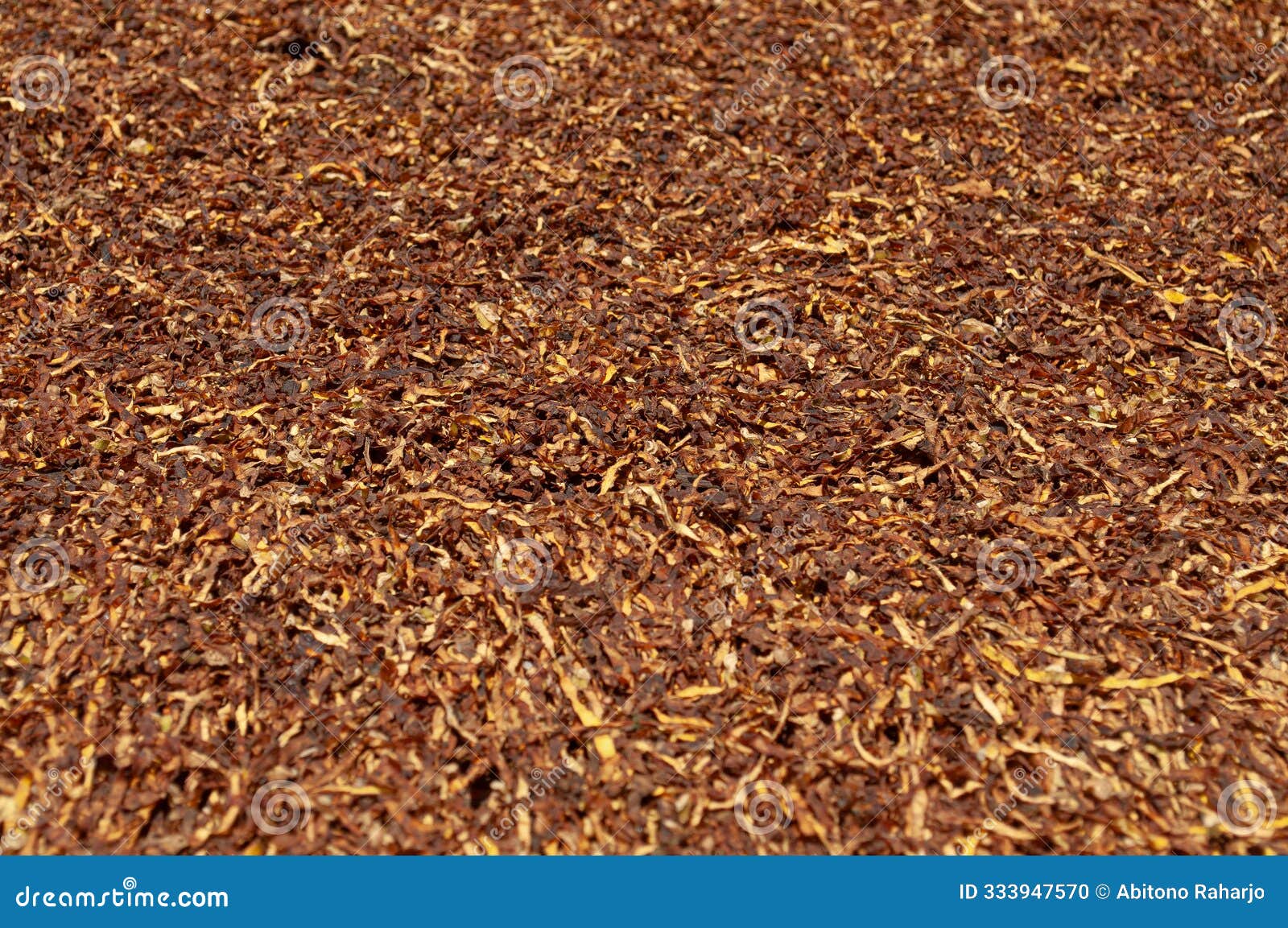Shredded Tobacco is Being Dried Outside To Be Processed Stock Photo ...