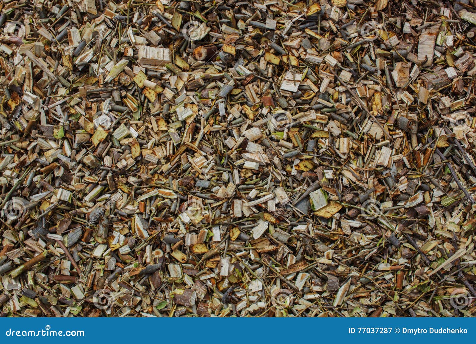 Shredded Tree Bark Royalty-Free Stock Photo | CartoonDealer.com #114839193