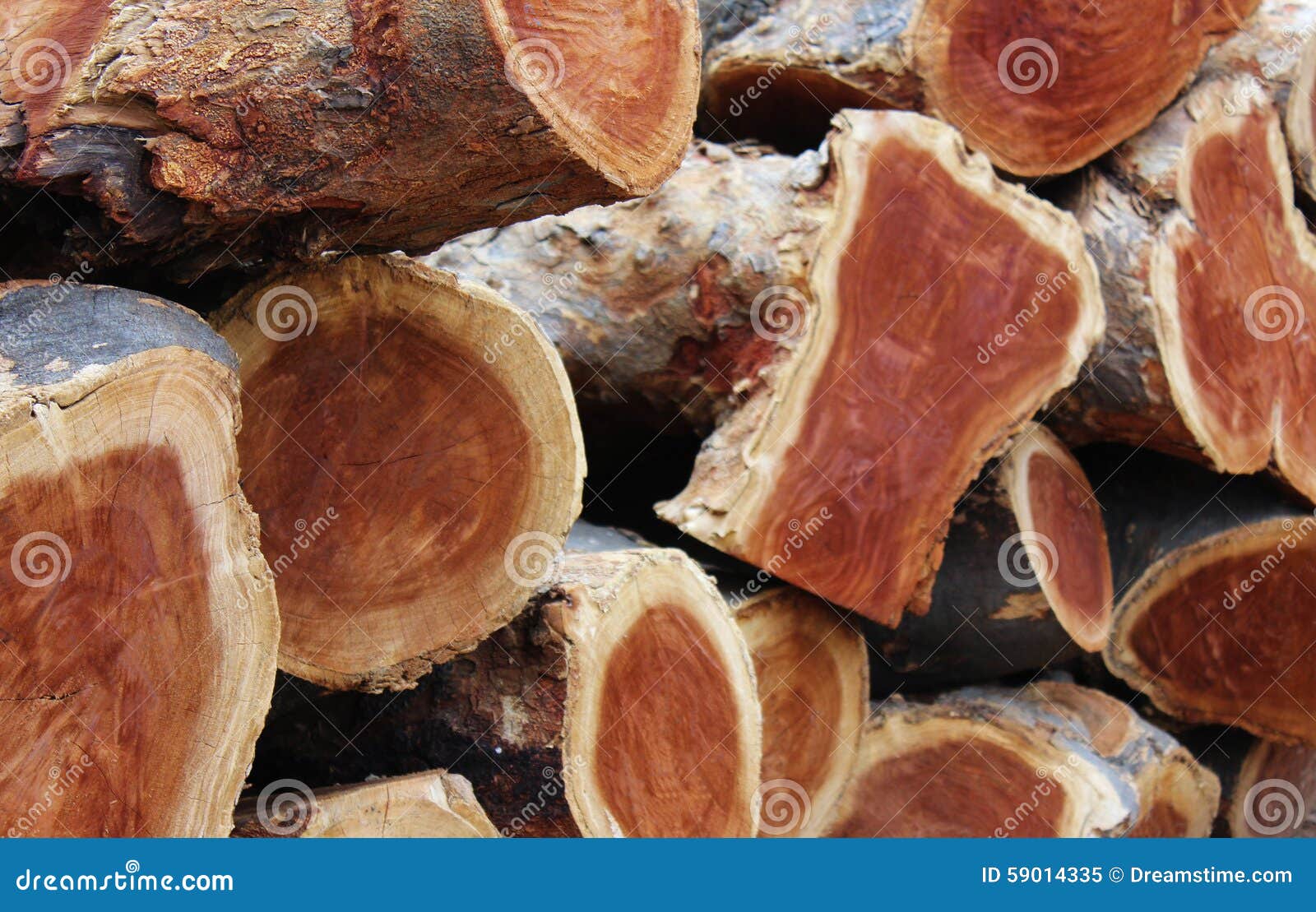 Shredded trees pile stock image. Image of renewable, fire - 59014335