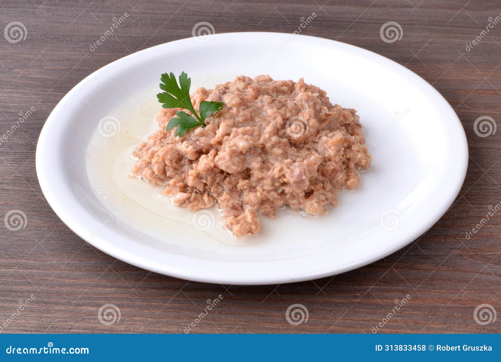 Shredded tuna stock photo. Image of tinned, food, pieces - 313833458