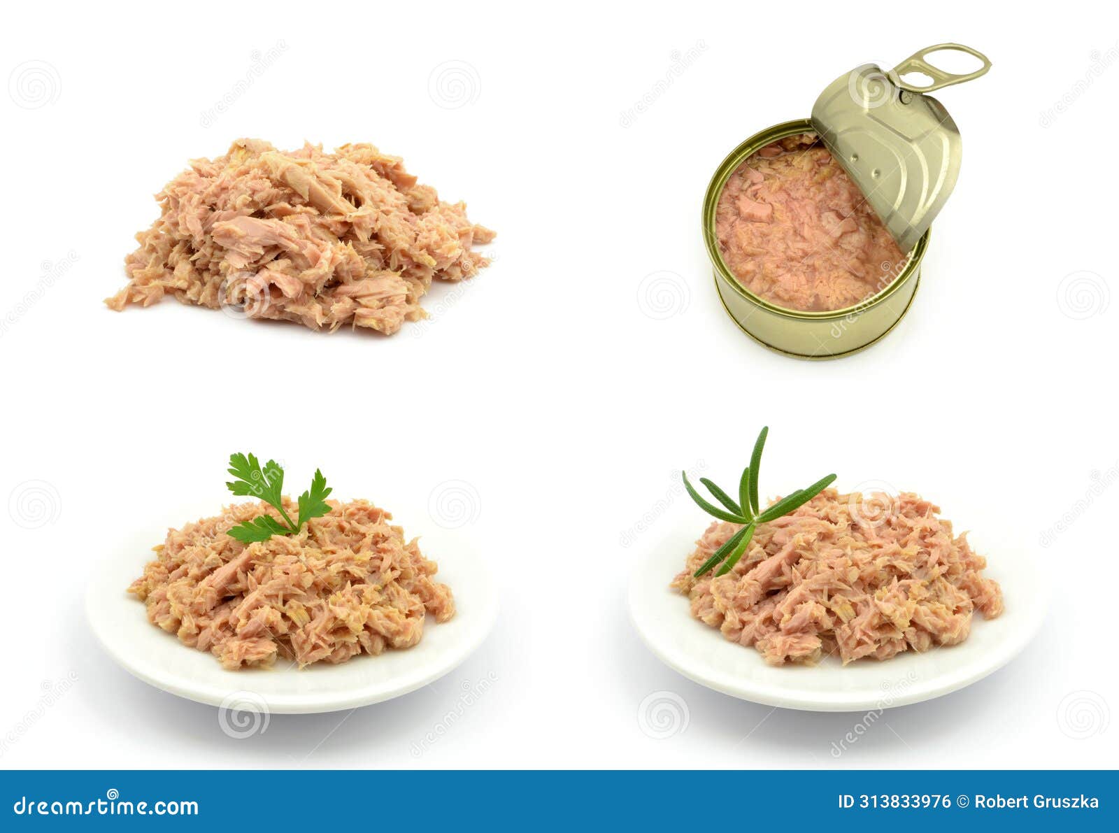 Shredded tuna stock photo. Image of isolated, tinned - 313833976