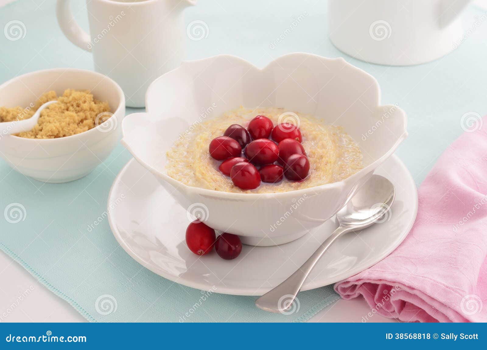 Shredded Wheat Cereal with Cranberries Stock Photo - Image of nutrition ...