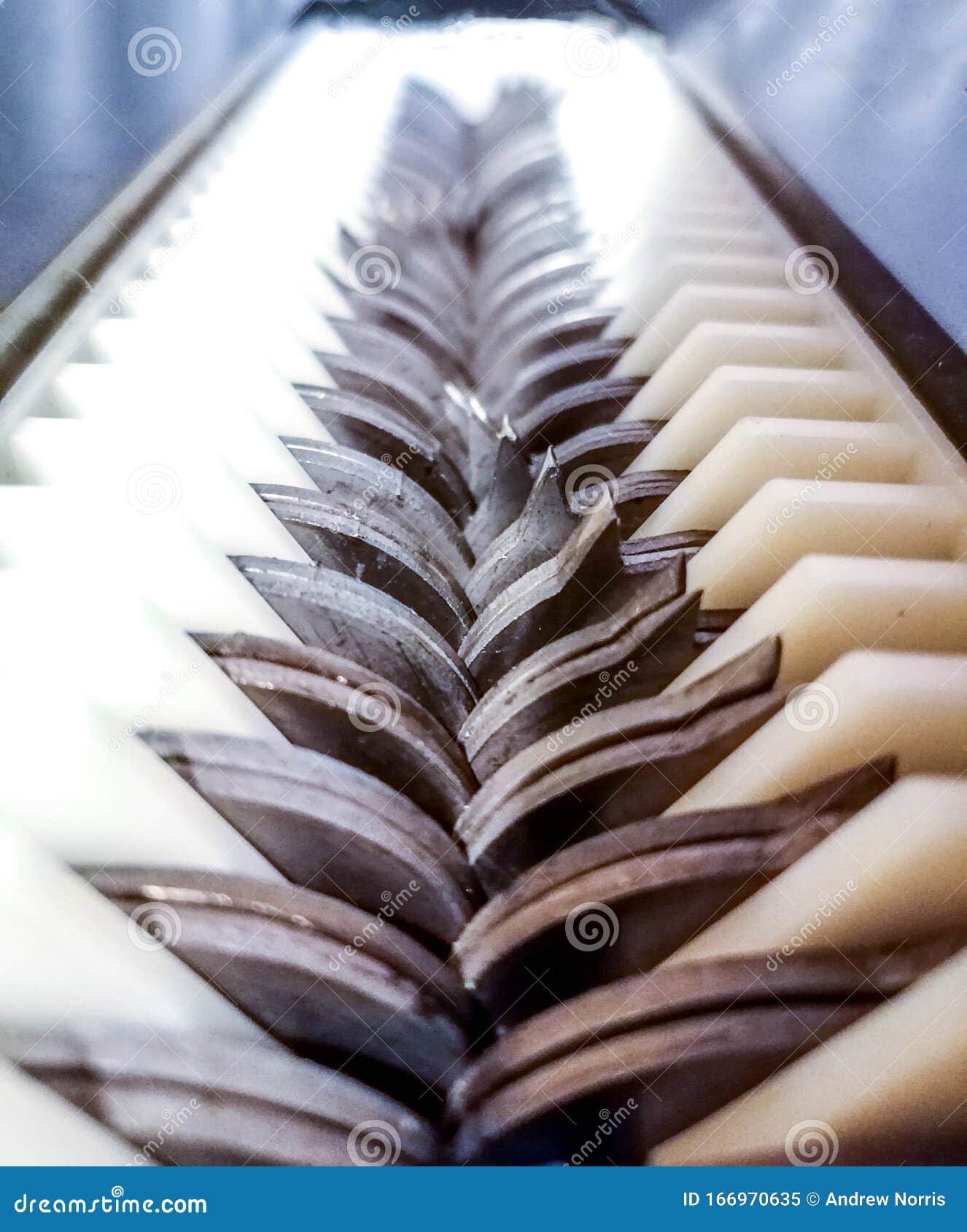 Shredder Teeth stock image. Image of document, hazardous - 166970635