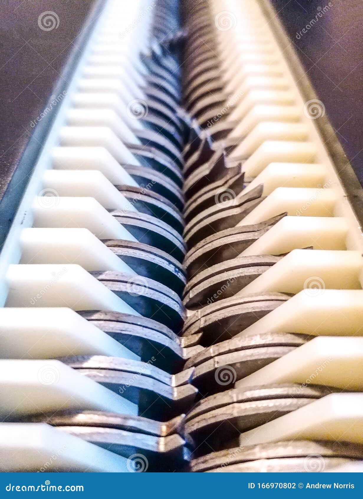 Shredder Teeth stock photo. Image of data, mechanical - 166970802