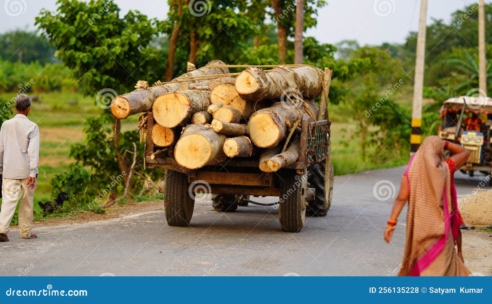 Shredding Wood on the Tractor Editorial Stock Photo - Image of ...