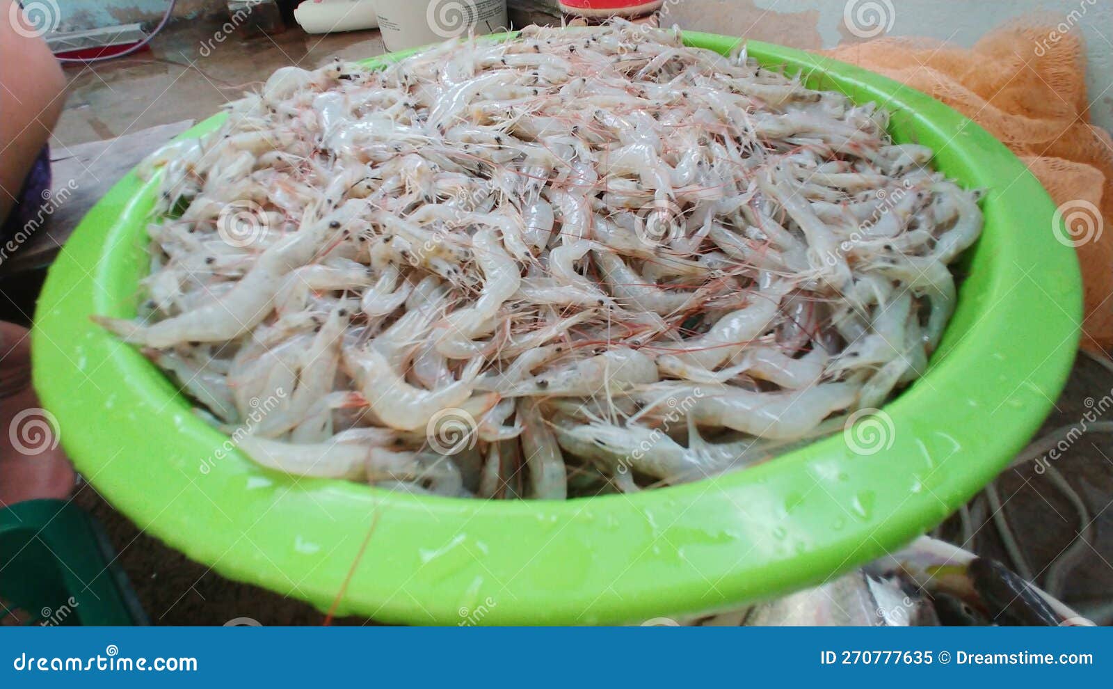 Shrim Prawn White Prawns Seafood Stock Image - Image of seafood, prawns ...