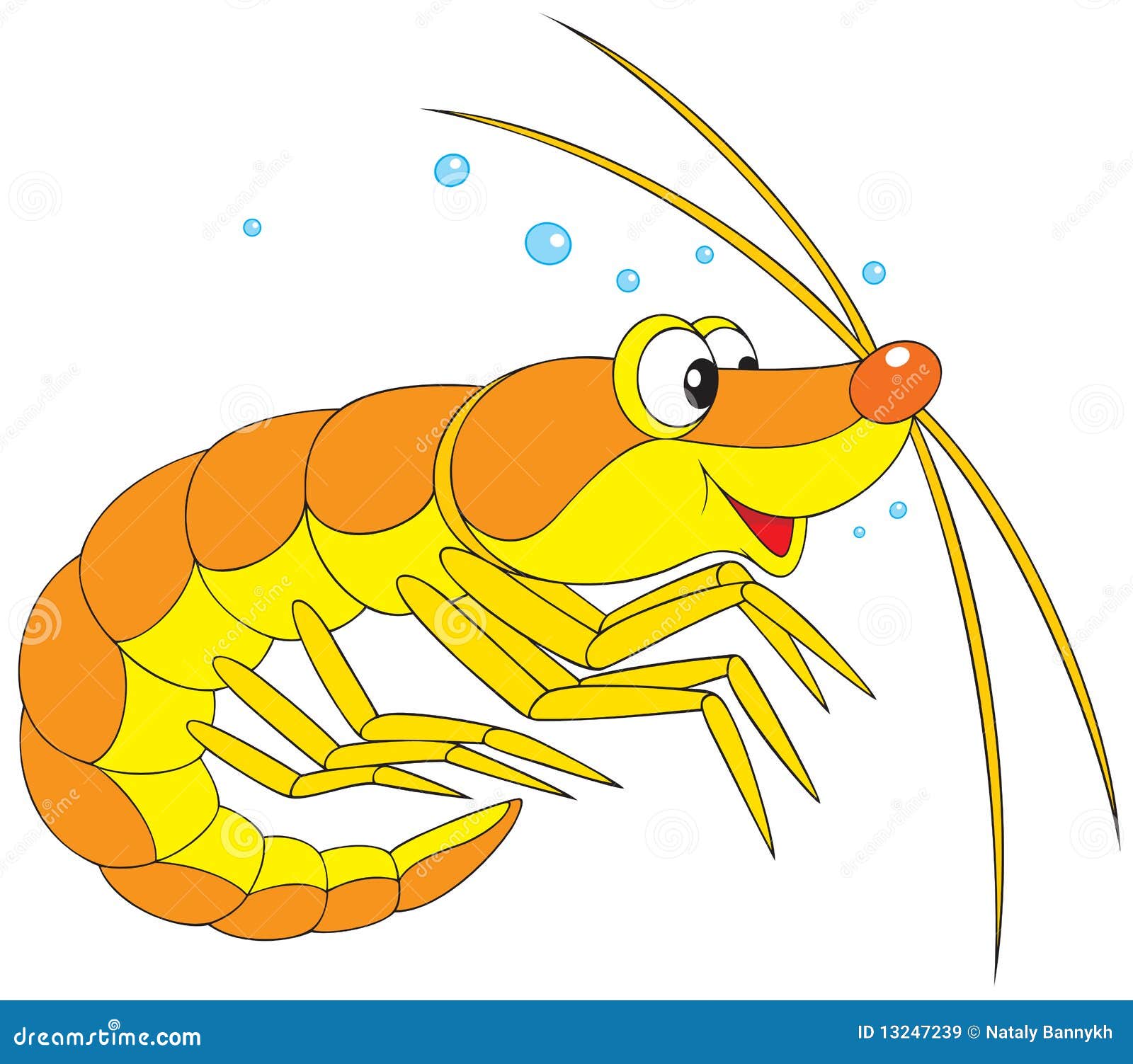 Shrimp stock vector. Illustration of clipart, nature - 13247239