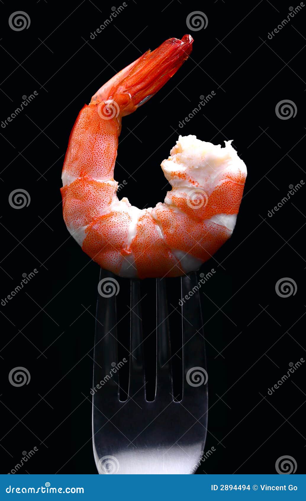 Shrimp stock photo. Image of cuisine, eating, gourmet - 2894494
