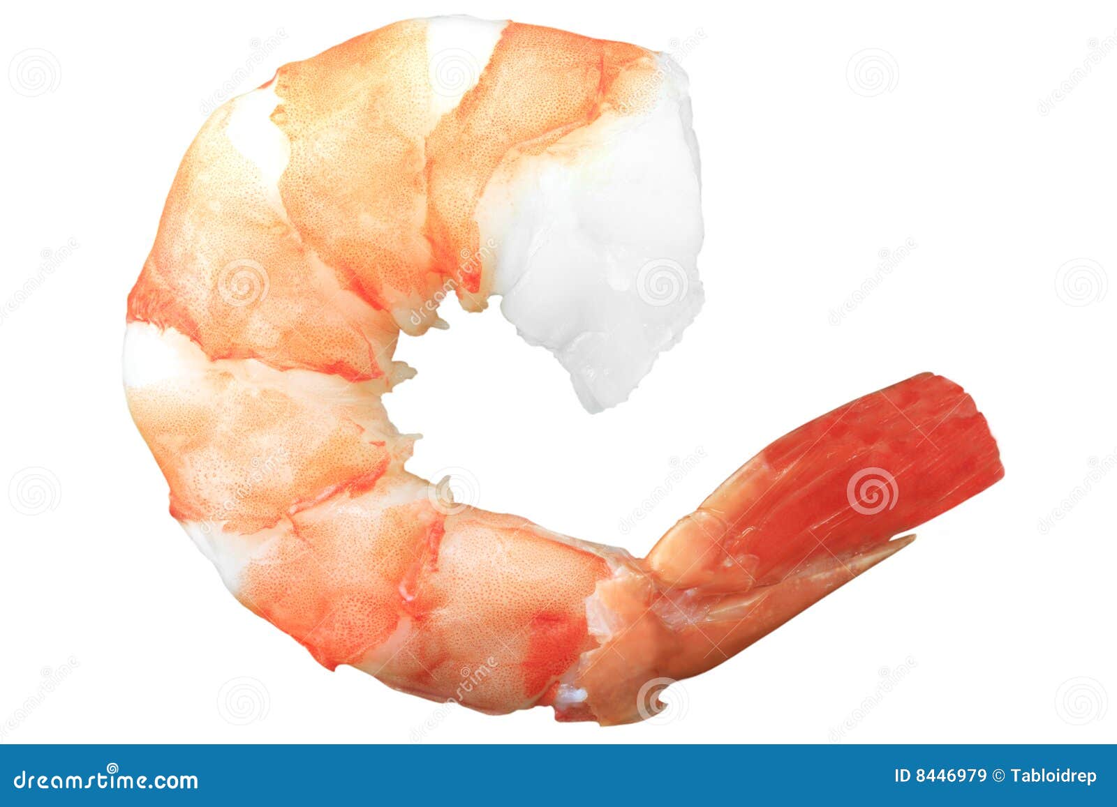 SHRIMP stock image. Image of objects, food, leaf, prepared - 8446979