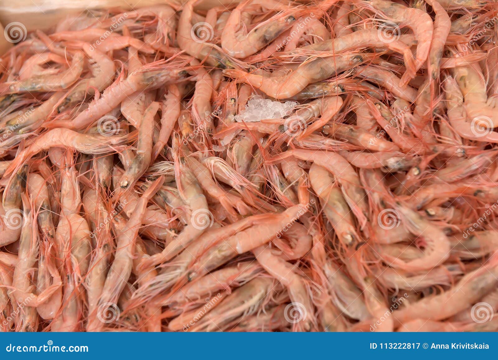 Shrimp background stock image. Image of close, orange - 113222817