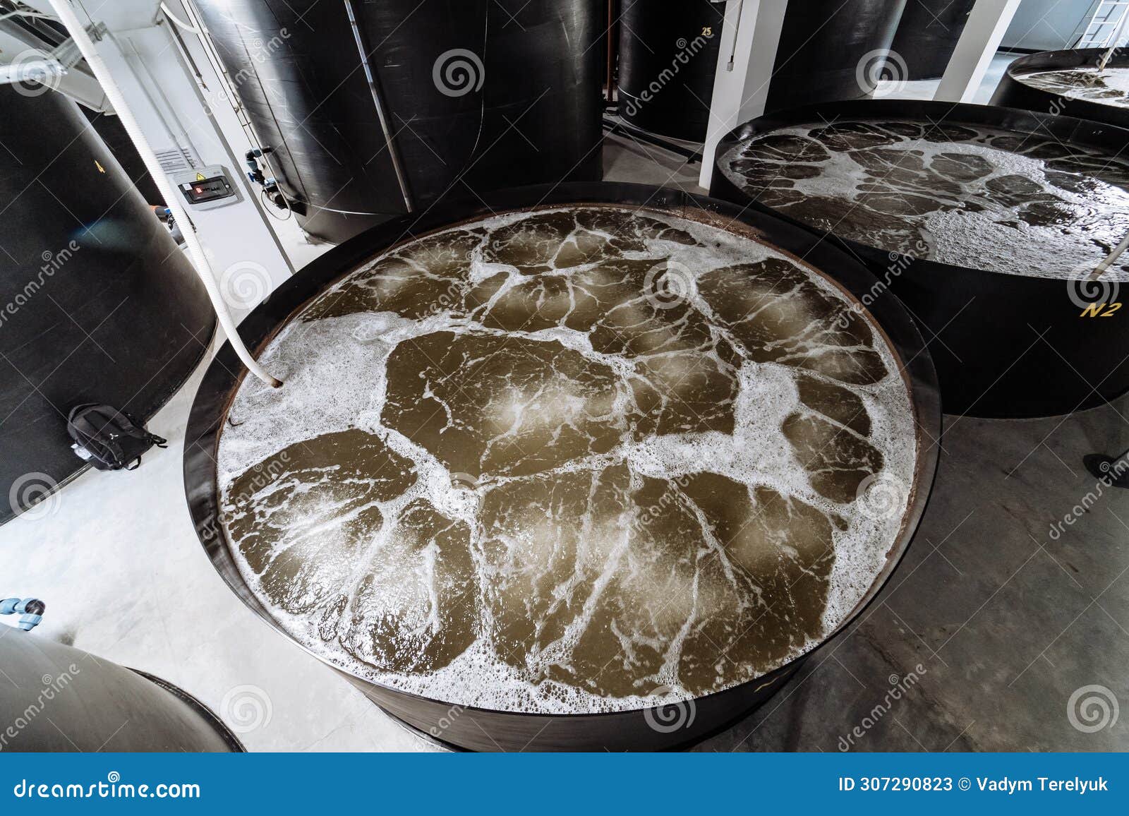 Shrimp Breeding Farm. Inside a Shrimp Farm Stock Image - Image of lake ...