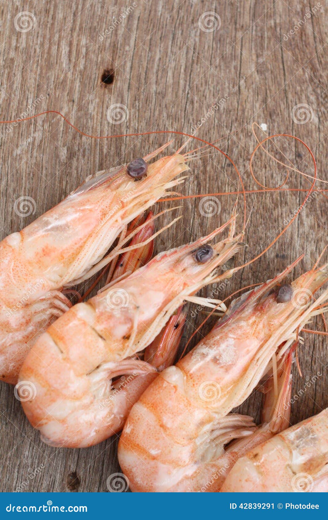 Shrimp stock image. Image of tasty, cooked, boiled, single - 42839291